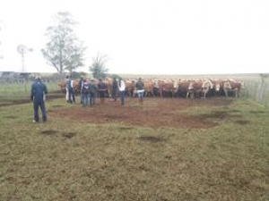 Jornada de campo “Manejo invernal del ganado; el pasto y el suplemento”