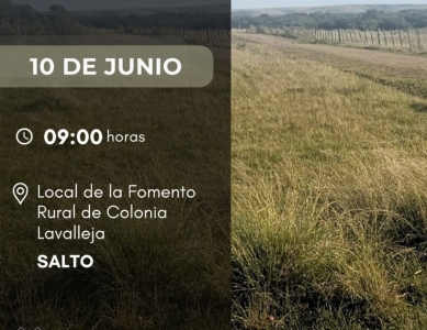 Capin Annoni ¿Solo una amenaza?