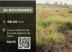 Jornada "Reconocimiento y control de Capin Annoni"