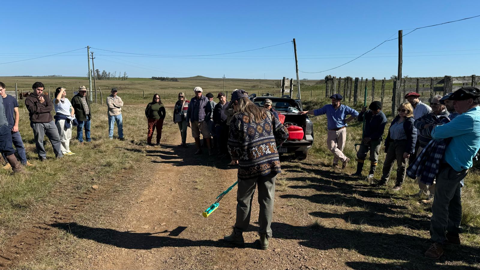 Actividad práctica para controlar Capin Annoni en Colonia Aparicio ...